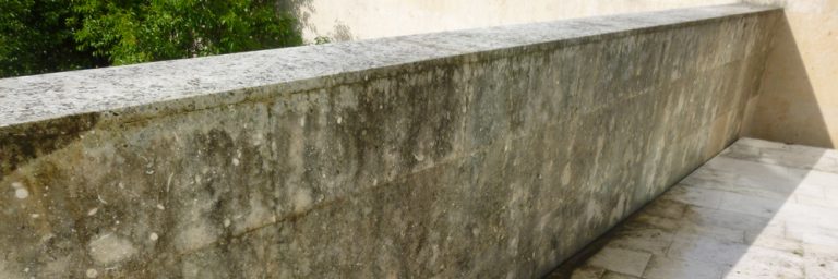 Come rimuovere muschi e licheni da mattonelle e muretti in cemento