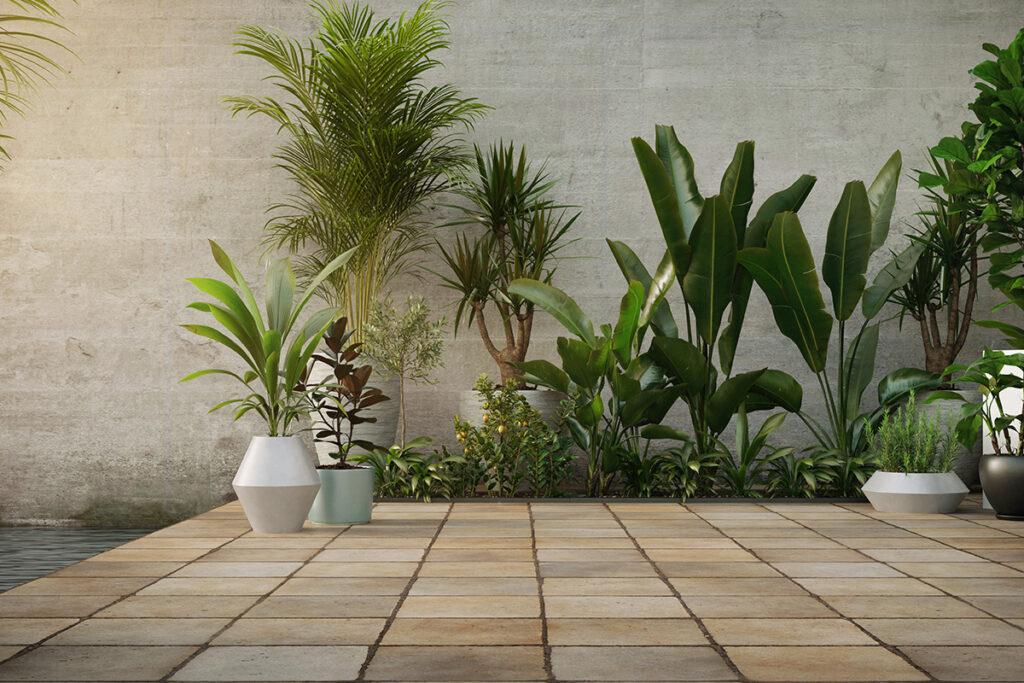 Patio, Che Splendore!