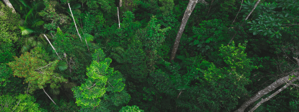 Sustainable Development Goals | Our Pledge For An Even Better Tomorrow