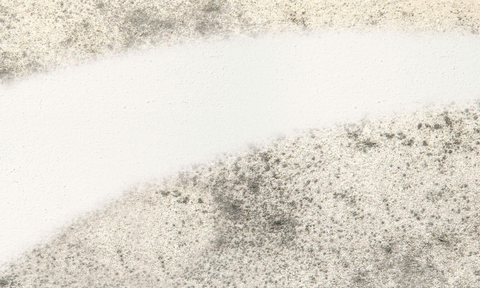 Muffa in casa: come affrontarla e prevenirla efficacemente